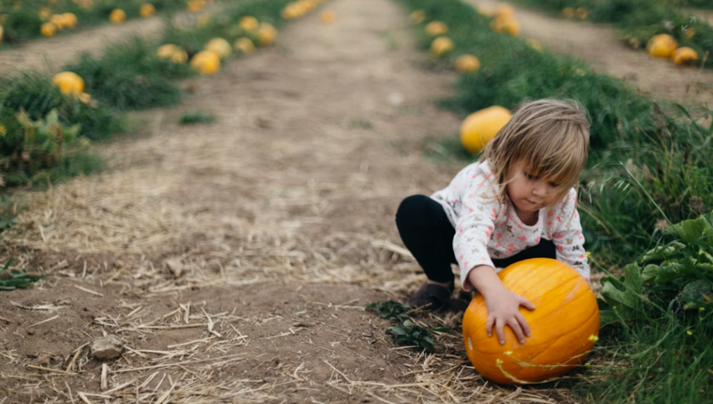 FALL FUN AROUND FRANKLIN, TN - ProTek Professional Painting Services